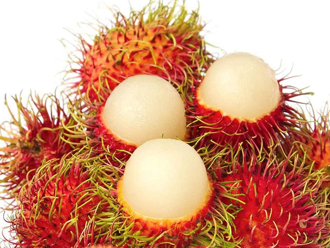 6 Rambutan Seeds - Etsy