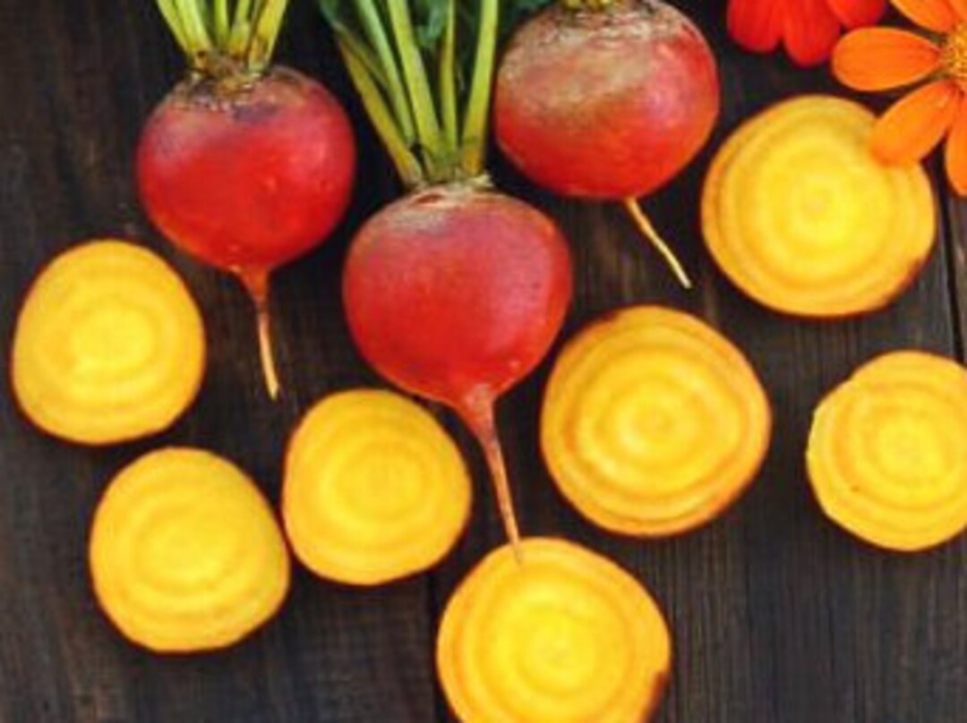 200 Golden Detroit Beet Seeds 76 - Etsy