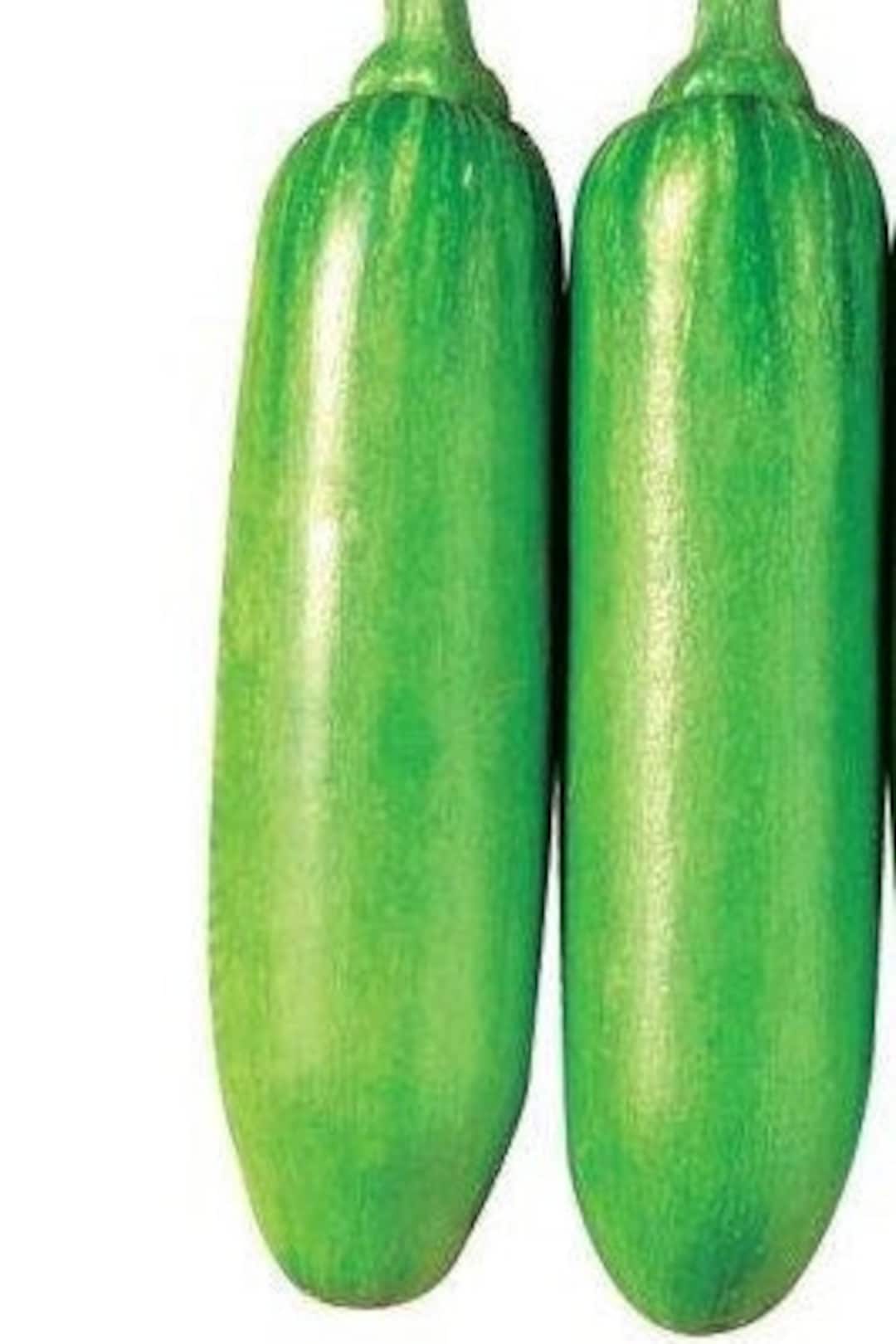 10 Korean Squash King Ka Ae Summer Squash Seeds - Etsy