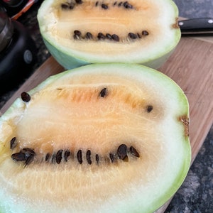 20 Desert King Watermelon Seeds Organic 05 - Etsy