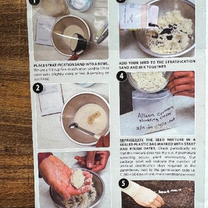 100lauren's Grape Poppy Seeds ALL Poppy Seeds Do Need Cold ...