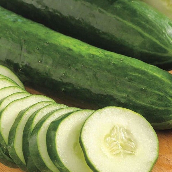 Cucumber - Etsy