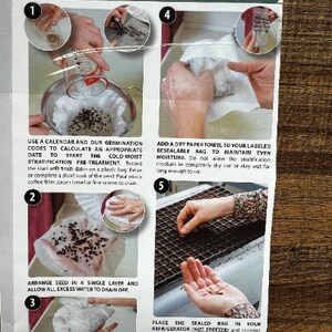 100lauren's Grape Poppy Seeds ALL Poppy Seeds Do Need Cold ...