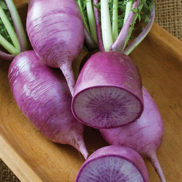 Korean Radish Seeds - Etsy