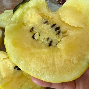 20 Lemon Drop Watermelon Seeds #03 - Etsy