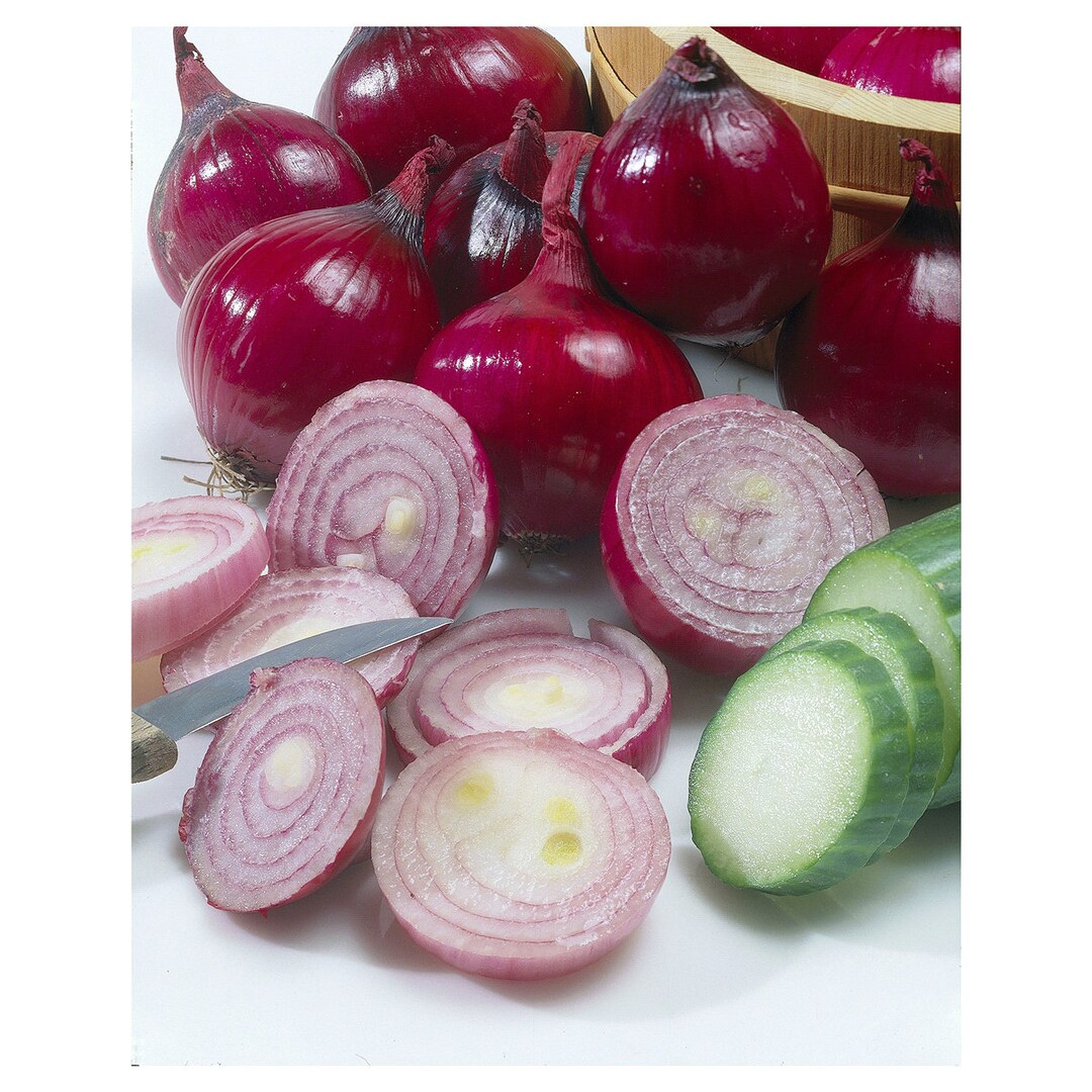 50 Red Baron Onion Seeds 6 - Etsy