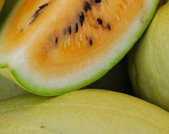 Desert King Watermelon Seeds - Etsy