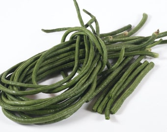 Missouri Wonder Bean Seed - Etsy