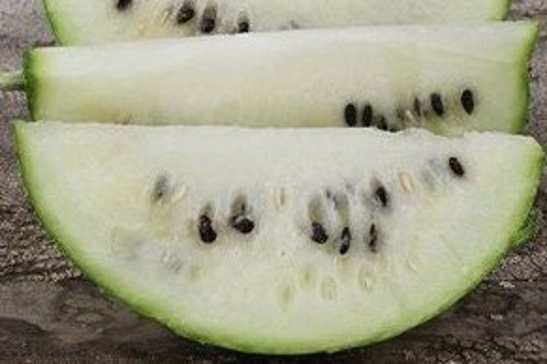 20 Japanese Silver Yamato Watermelon Seeds 04 - Etsy