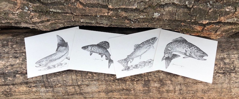 Trout Fishing Note Card // Prints // Flyfishing // Stream // Rainbow ...