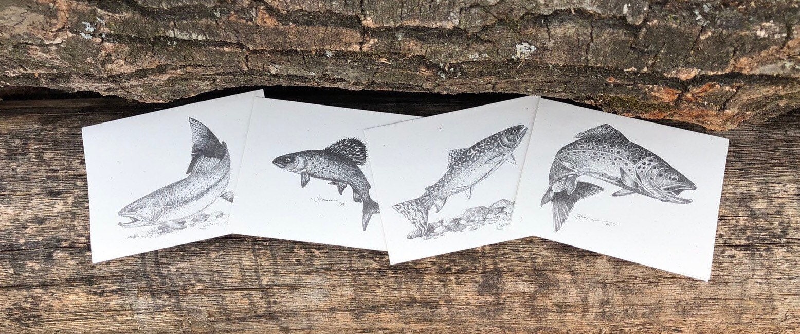Trout Fishing Note Card // Prints // Flyfishing // Stream // Rainbow ...