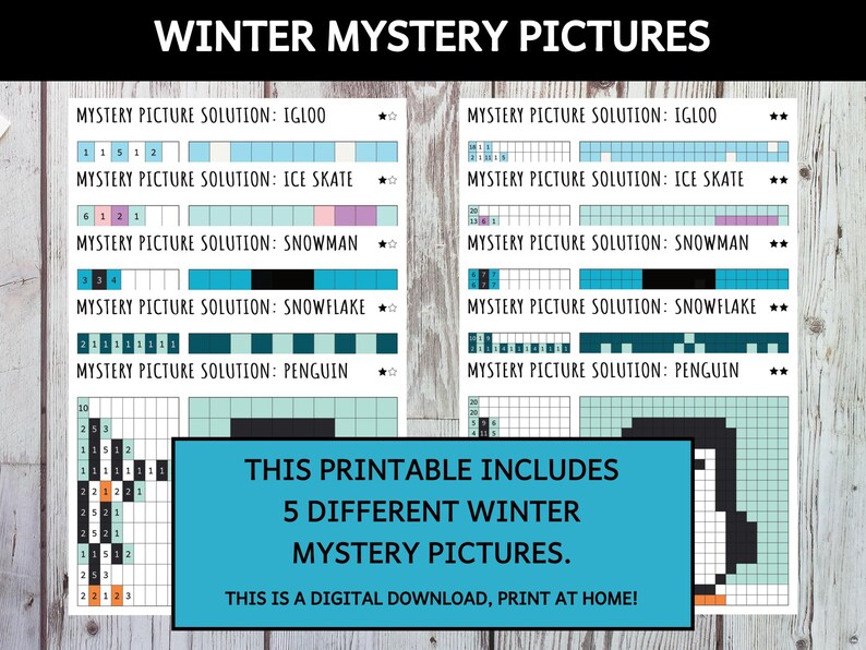 Winter Mystery Picture Worksheets Pixel Art Color by Code - Etsy