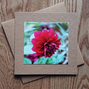 Red Flower Blank Greetings Card All occasions Photographic | Etsy