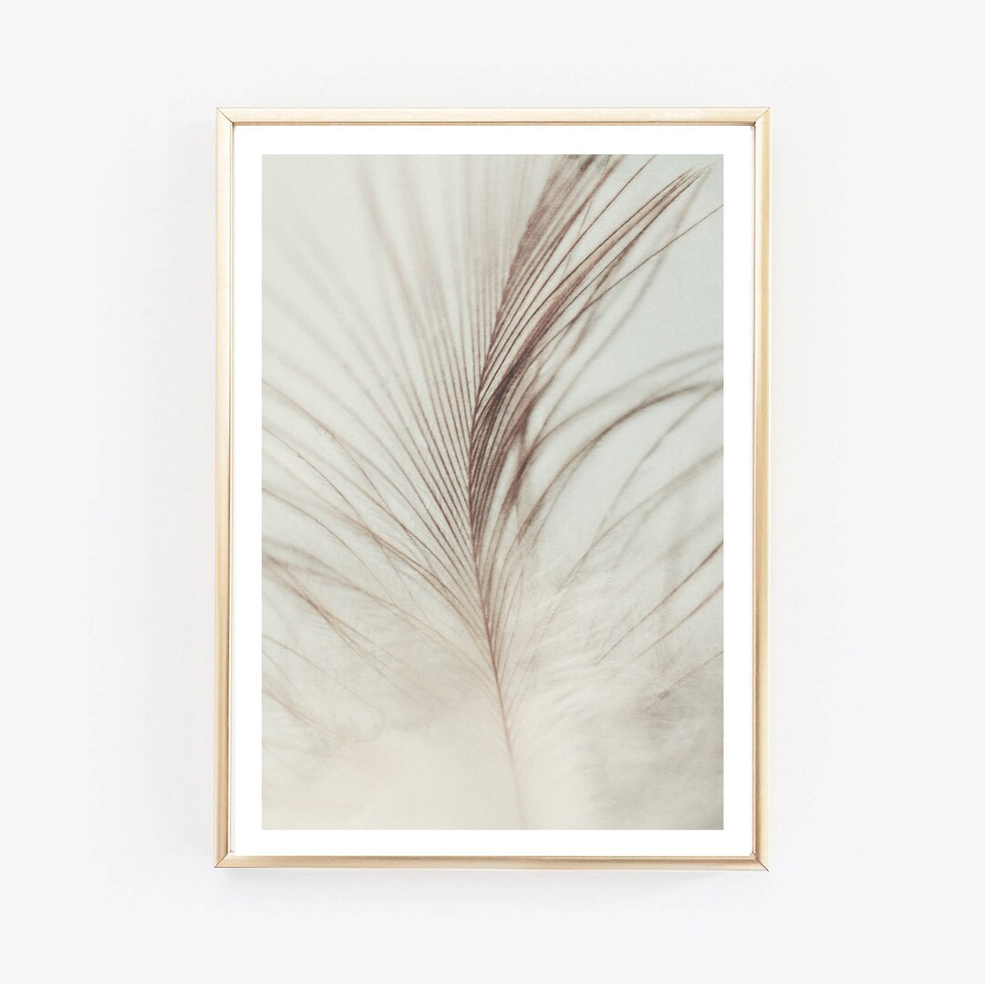 Feather Print ,soft Feather Print, Pastel Photo,modern Art,feather Fine ...