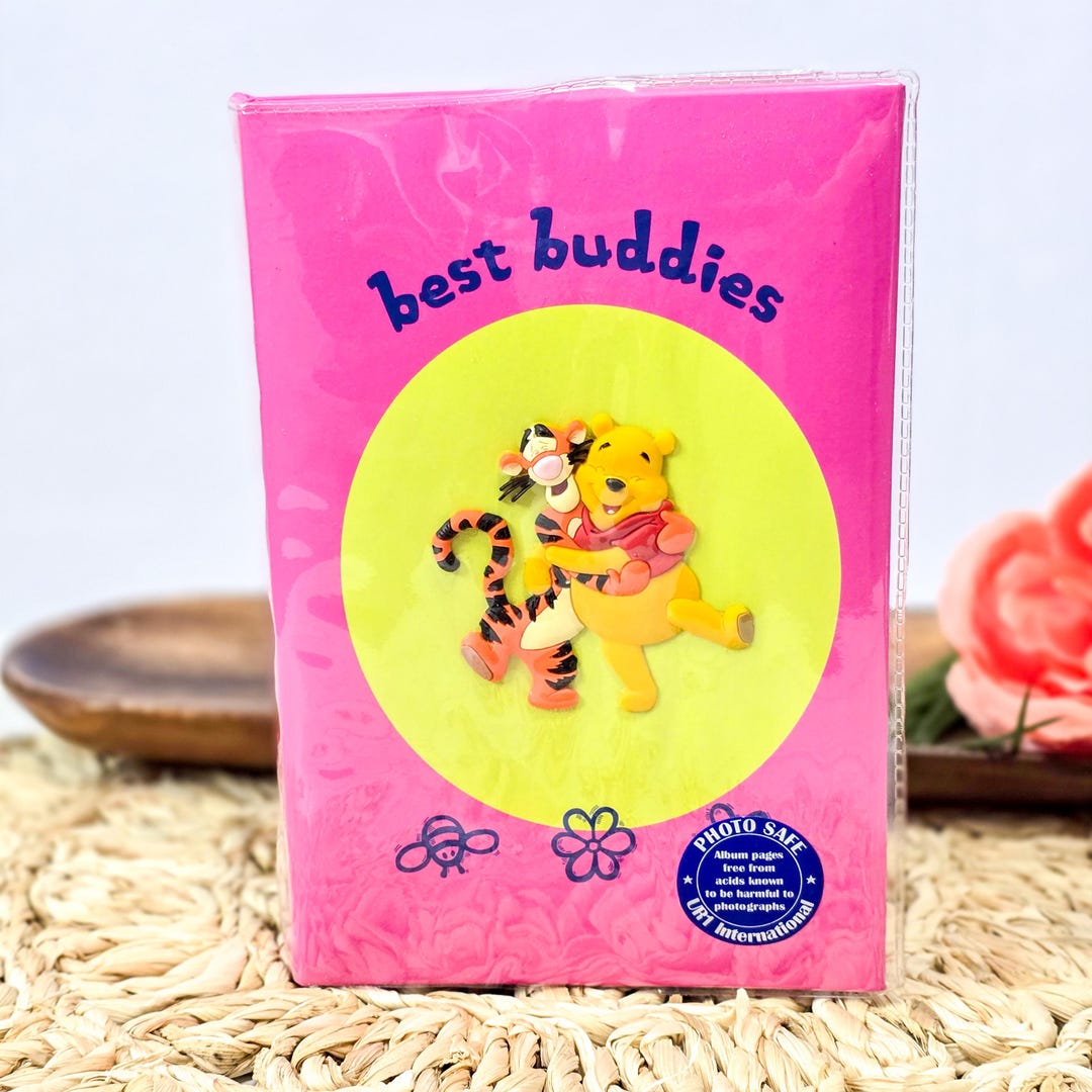 New Vintage 2004 Disney Winnie the Pooh & Tigger "best Buddies" Photo ...
