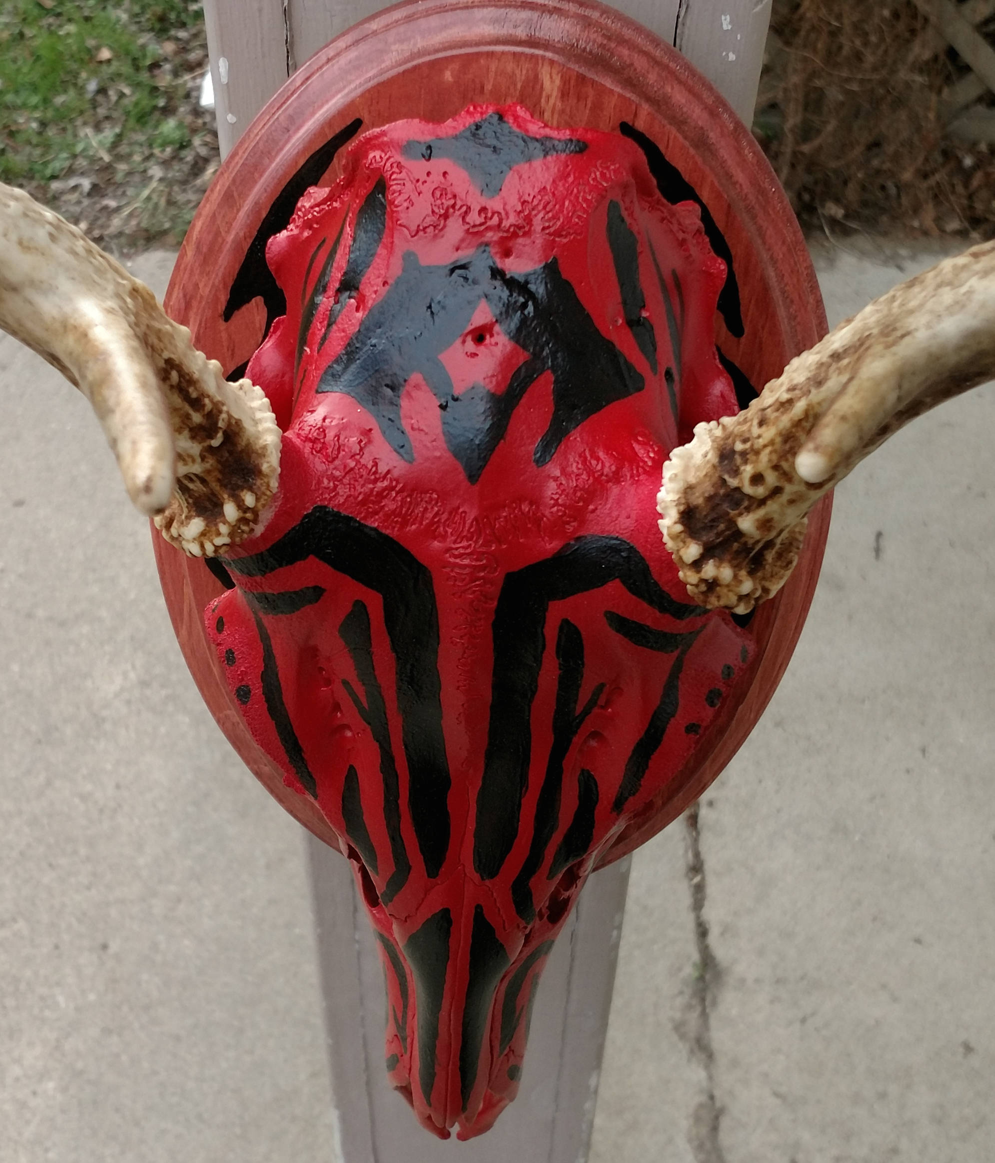 Tribal Deer Skull Designs