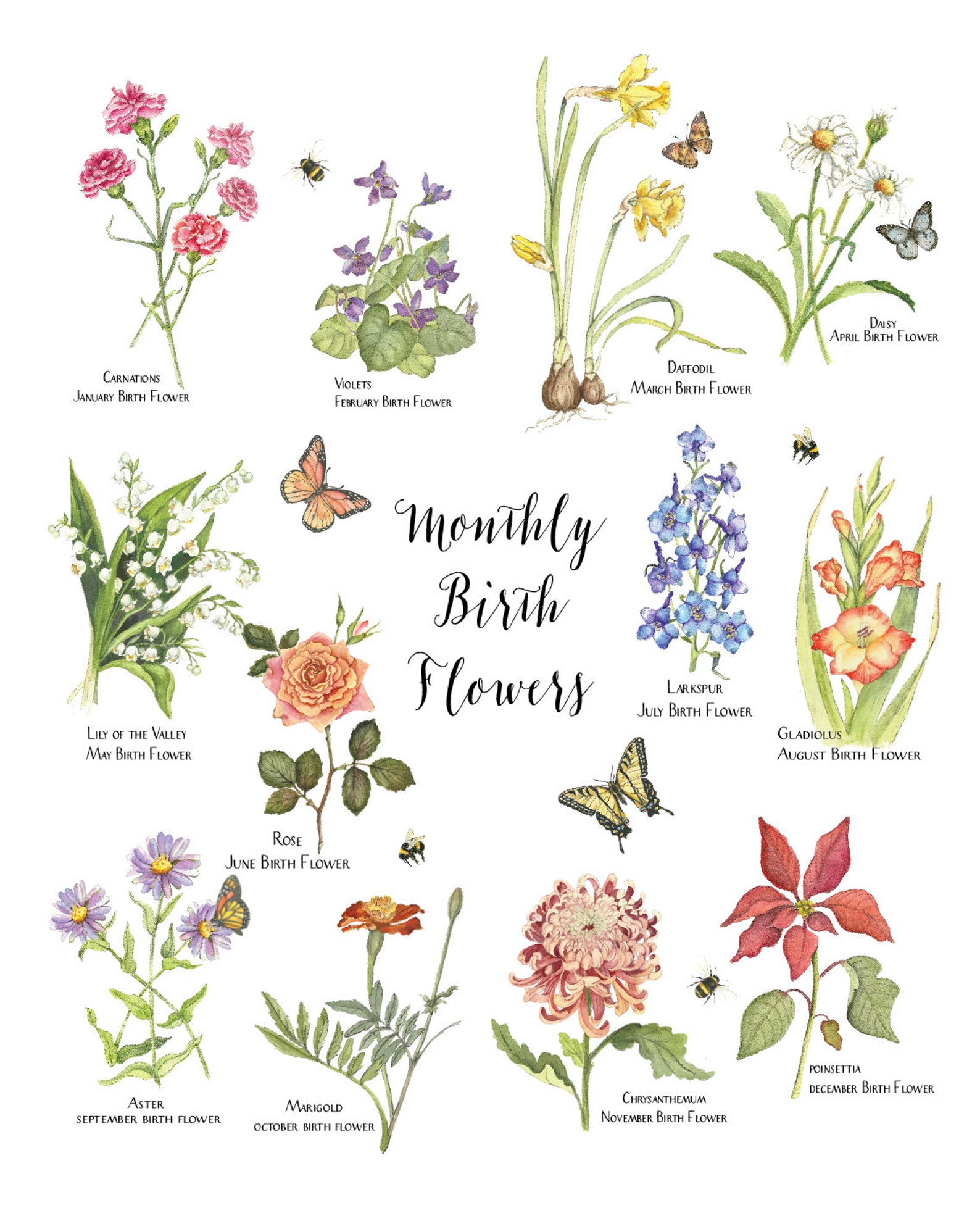 Family Birth Flower Bouquets, Floral Arrangements Made of Each Family ...