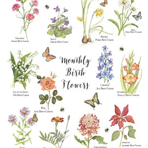 Family Birth Flower Bouquets, Floral Arrangements Made of Each Family ...