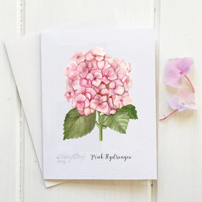 Pink Hydrangea Blank Greeting Card | Etsy