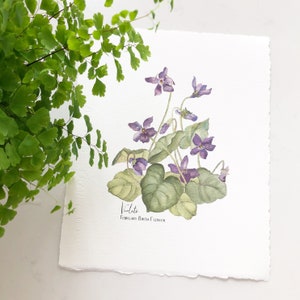 February Birth Flower Violets Giclee Print of an Original | Etsy