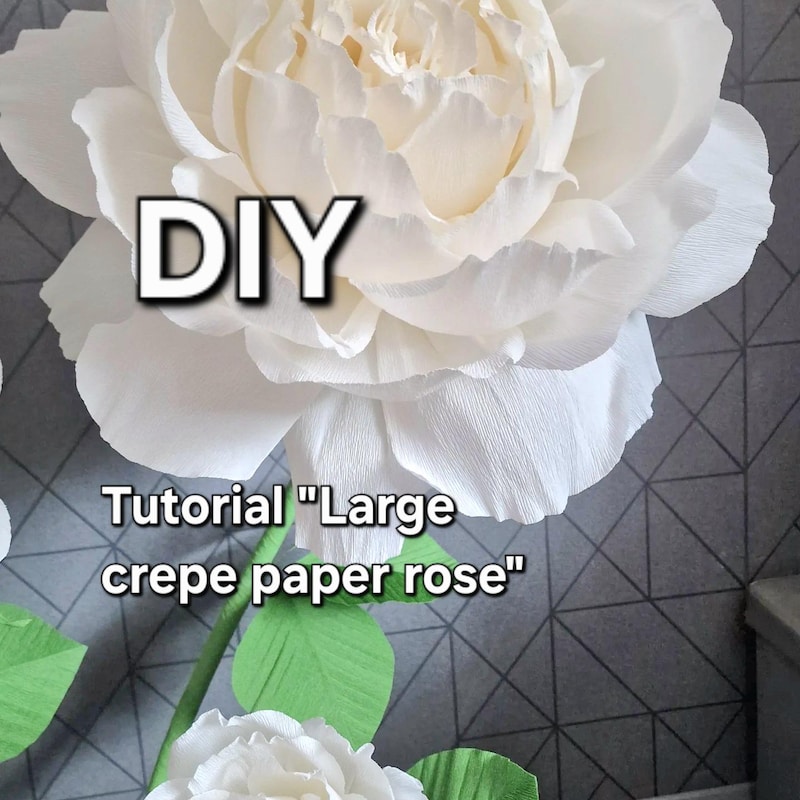Giant Paper Rose Tutorial - Etsy