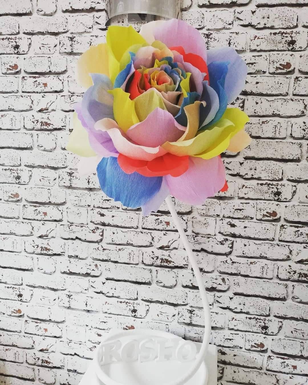 Large Rainbow Paper Rose 20cm / 30cm / 50cm/set! Wedding or Baby Shower ...