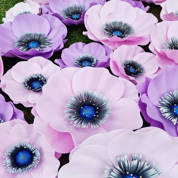 Poppy Window Displays - Etsy UK