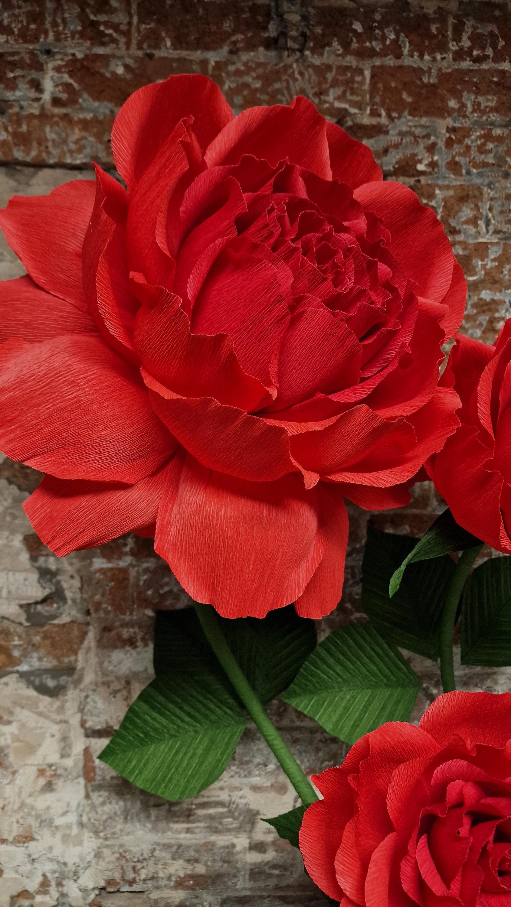 TUTORIAL! Giant Crepe Paper Rose Flower, Nearly 50cm Wide! Video DIY ...