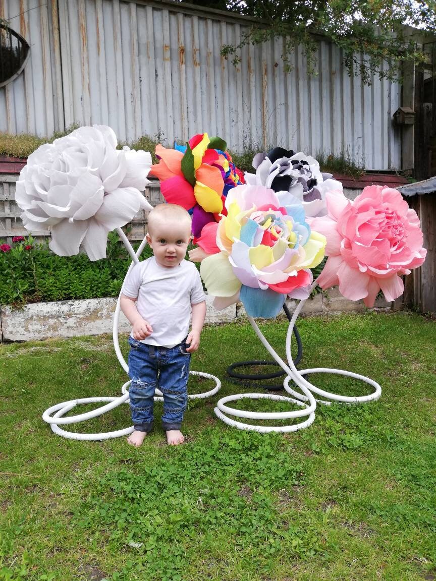 Large Rainbow Paper Rose 20cm / 30cm / 50cm/set! Wedding or Baby Shower ...