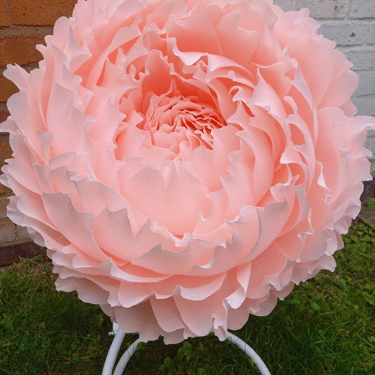 50-55cm Large Crepe Paper Peony With Flatback or on Stem Stand | Etsy