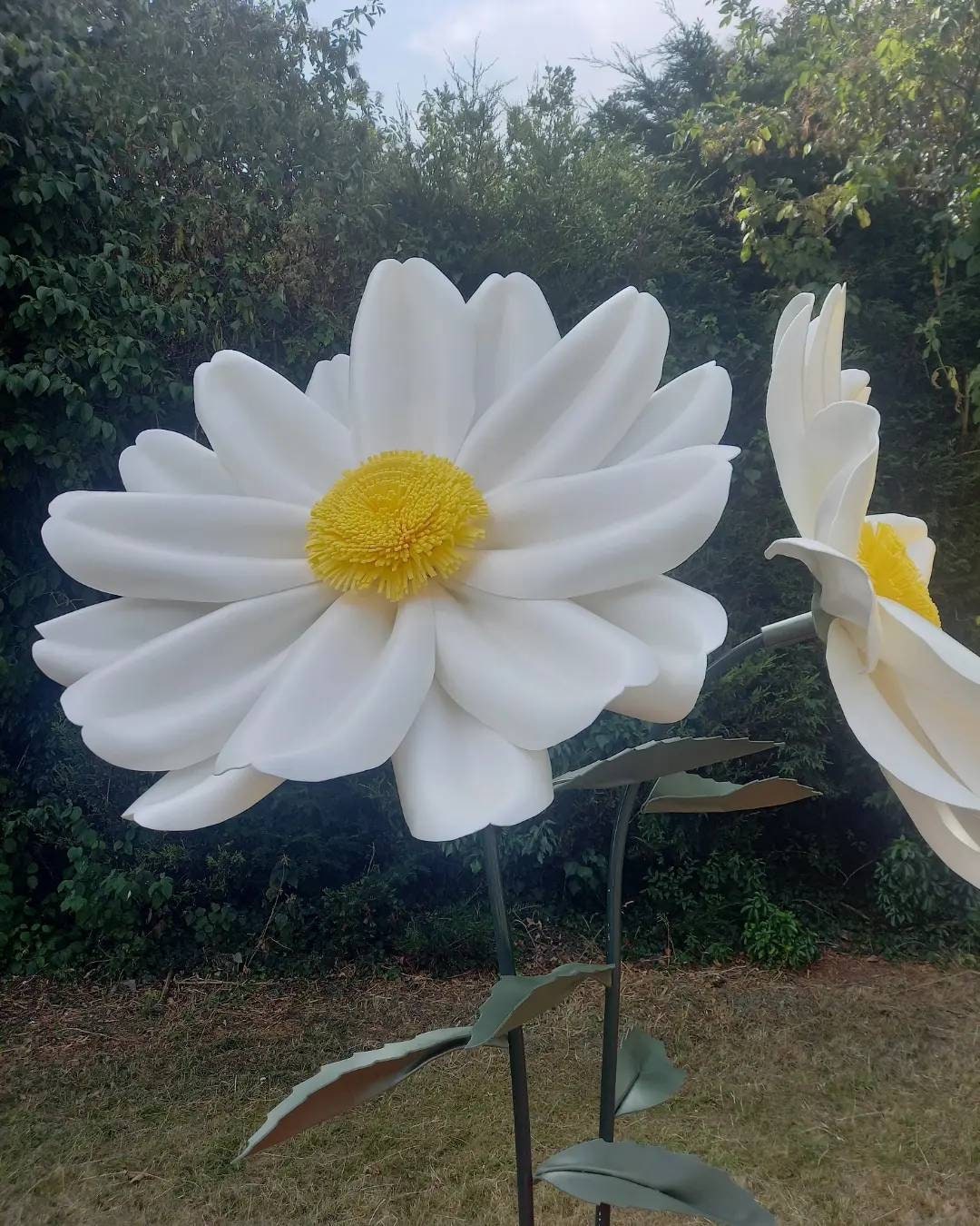 Giant Daisy 80cm to 1m Diameter (one) Handmade of Isolon Foam ...