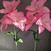 Giant Lily With 3 50cm Wide Blooms Large Crepe Paper Flower for ...