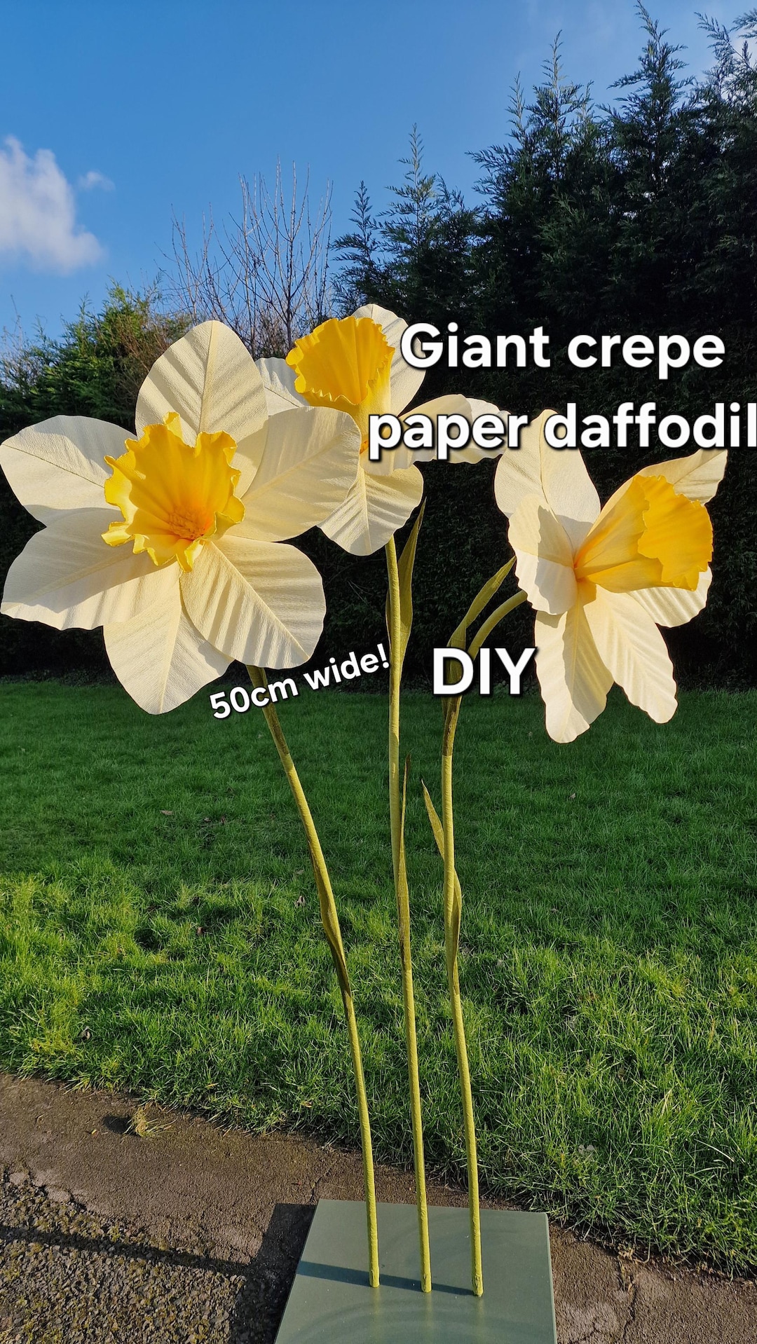 TEMPLATE! Giant Crepe Paper Daffodil / Narcisus Flower Petal A4 Size DIY Template. Please Watch ...
