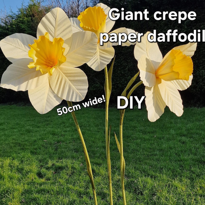 Giant Flowers Photo Props - Etsy