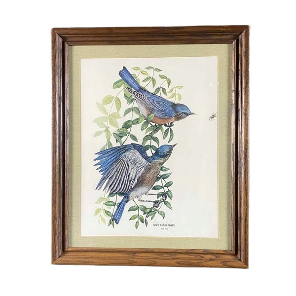 Bluebird Print - Etsy