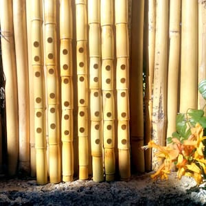 Nay Flute / Arabic Nay Flute for Professional Players!! - Etsy