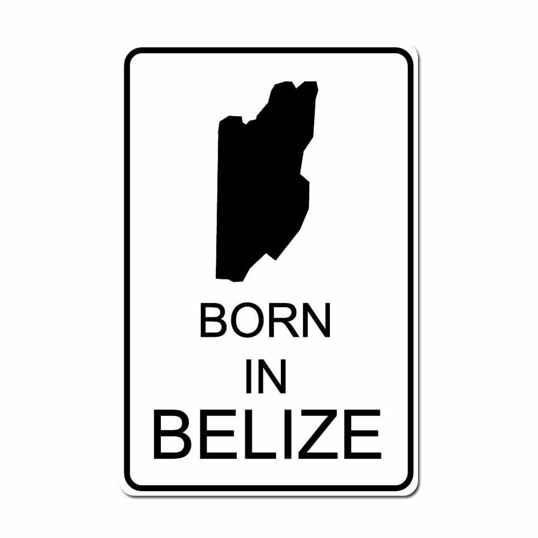 Born in Belize Belizean Country Pride Black Vinyl on White - 10X15 ...