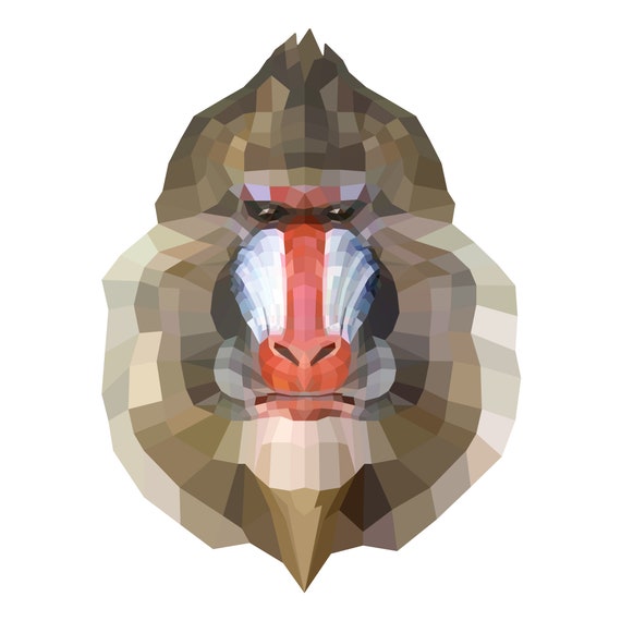 Baboon Geometric Awesome Amazing Full Color Vinyl Decal for | Etsy