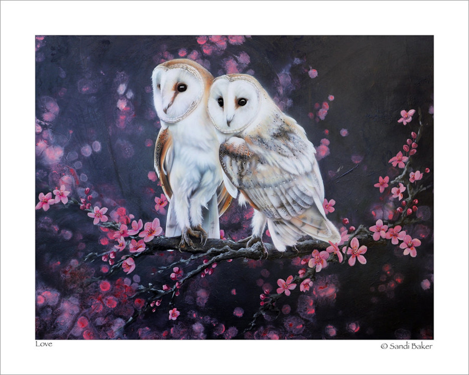 Owl Art Print - "love" -by- Artist - Sandi Baker - Etsy