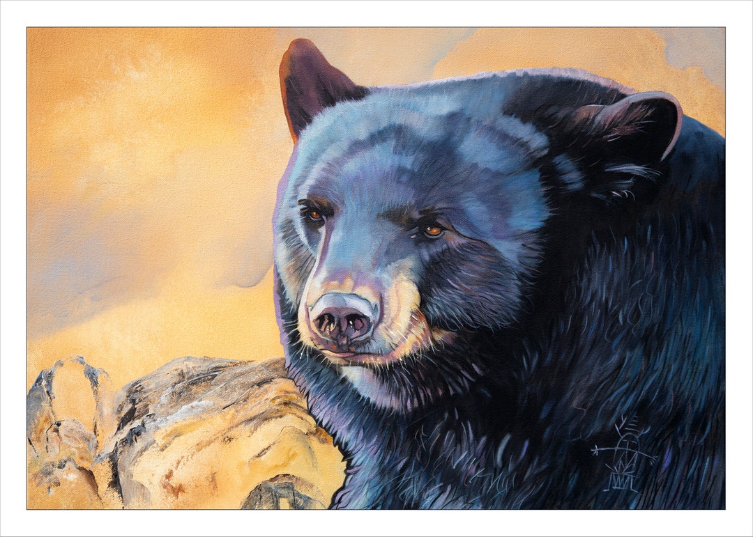 5x7 Black Bear Note Card Set - "sunrise Bear" - (4) Note Cards Included ...