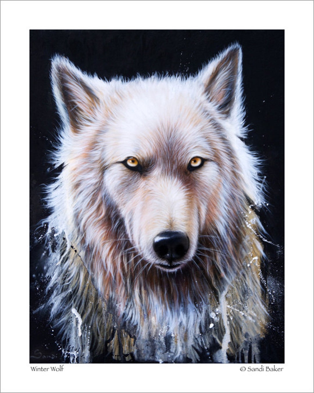 Winter Wolf Art Print by Sandi Baker - Etsy