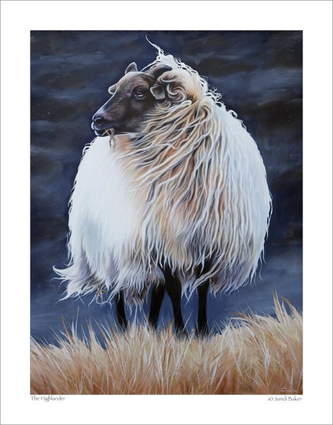 The Highlander - by Artist - Sandi Baker - Etsy