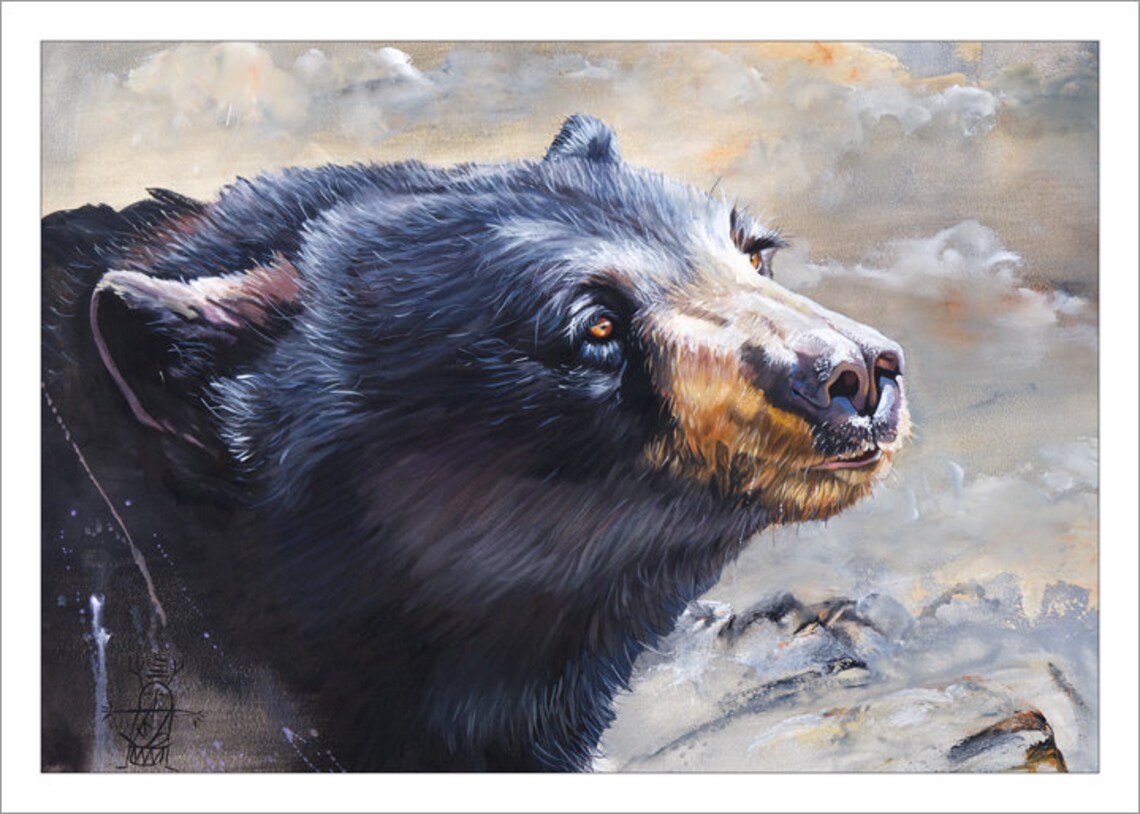 5x7 Note Card Set four Winds Bear 4 Note - Etsy