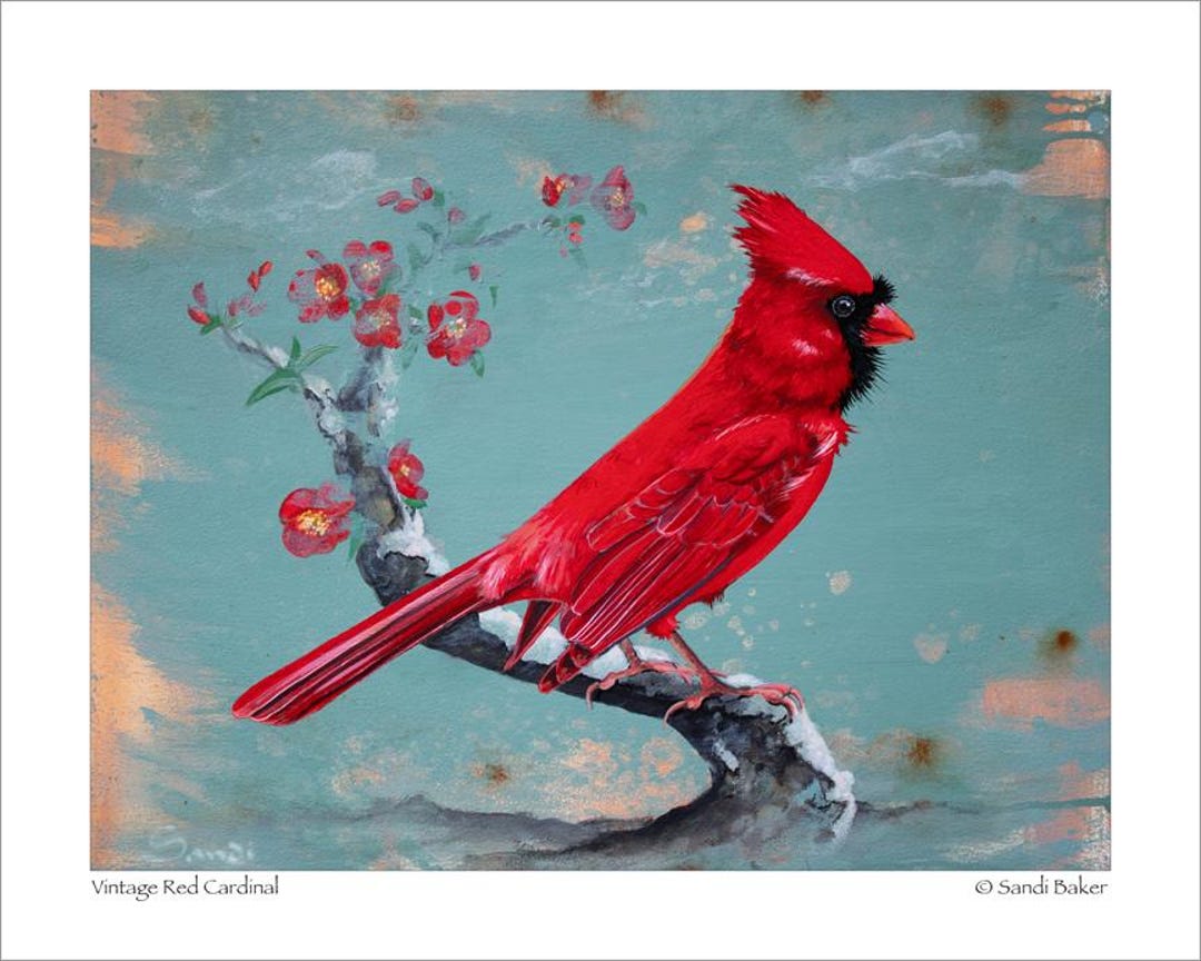 Red Cardinal Art Print: Vintage Style Bird Illustration - Etsy