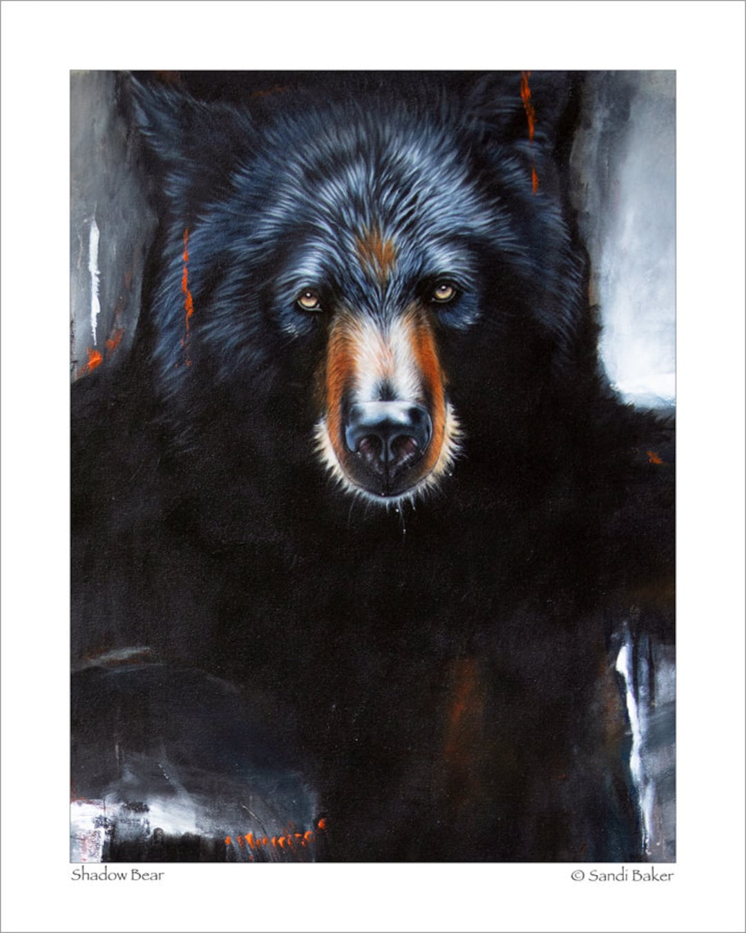 Black Bear Art Print: "shadow Bear" by Sandi Baker - Etsy