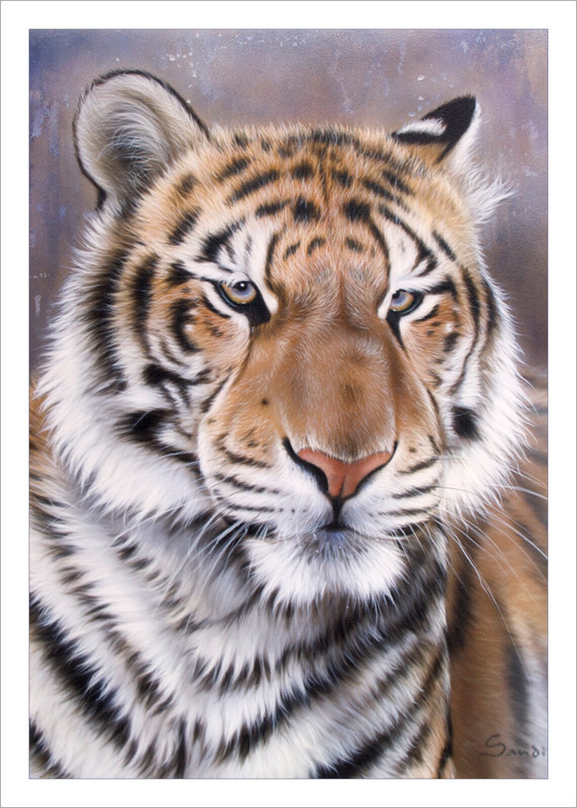 5x7 Note Card Set Evo 4 Note Cards Included | Etsy