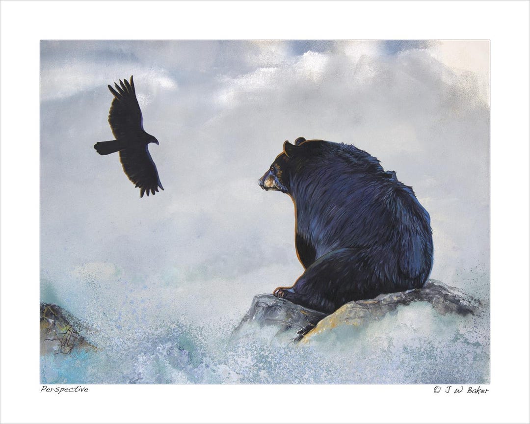 Black Bear and Raven Art Print: Wildlife Illustration - Etsy