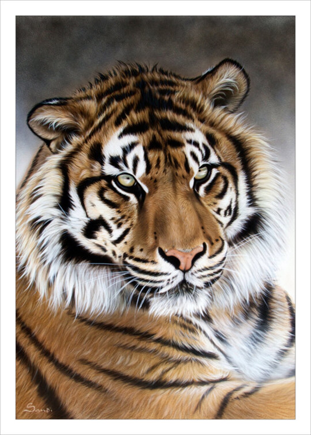 5x7 Note Card Set zen 4 Note Cards Included - Etsy