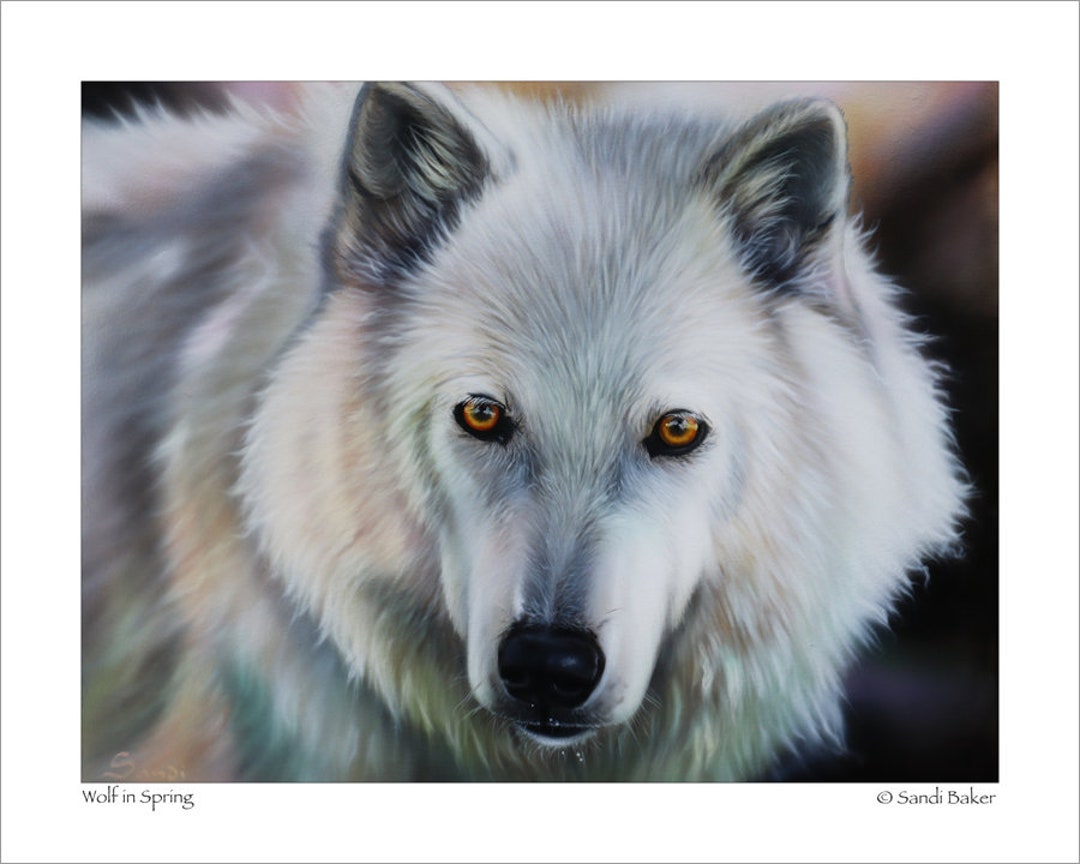 Wolf Art Print - "wolf in Spring" -by Artist- Sandi Baker - Etsy