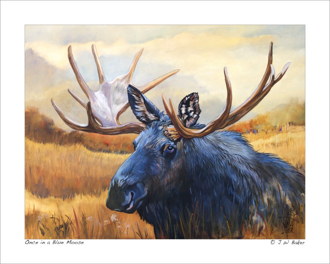 Moose Artwork Print - Once in a Blue Moose - Collectible Moose Wildlife ...